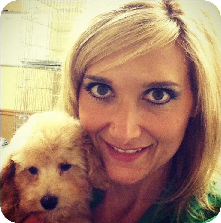 About Us | Groomingdale's Mobile Pet Spa